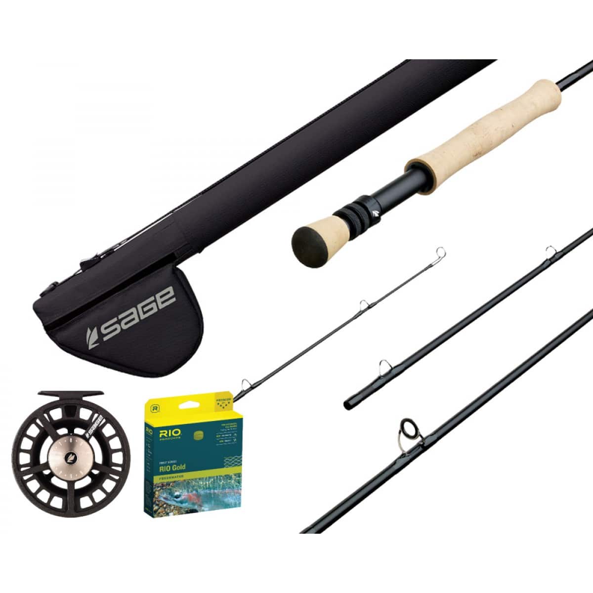 SAGE Ensemble FONDATION ~ Le Poisson Roy